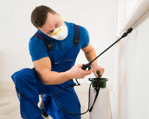 Pest Off Services - Pest Control & Service d'hygiène